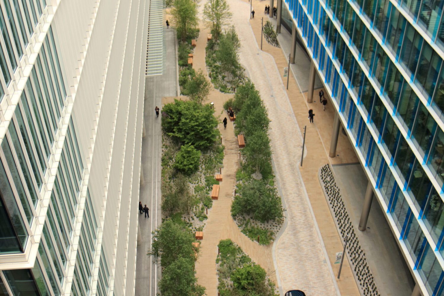 Maylim Maylim | News - Maylim Complete Paddington Phase 2 Project